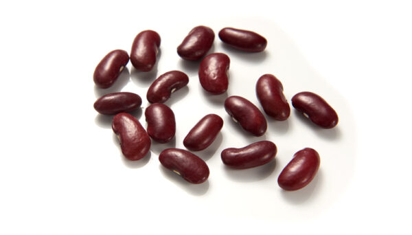 Fagioli Rossi - BMS ORGANIC